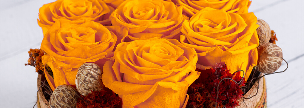 The eternal spring of preserved roses – Sense Ecuador®