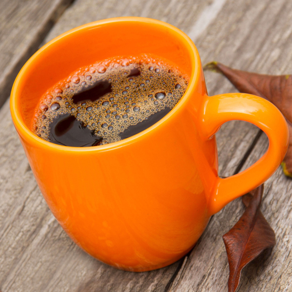 Artisan coffee - xolertaiwan