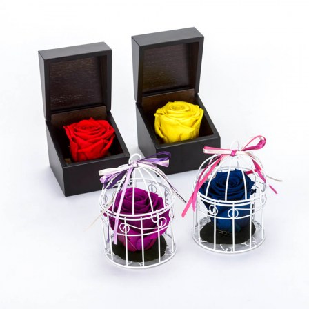 Preserved Roses - Page 1 of 2